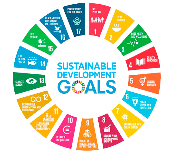 DEFINITION SUSTAINABLE DEVELOPMENT GOALS definition-sustainable-development-goals