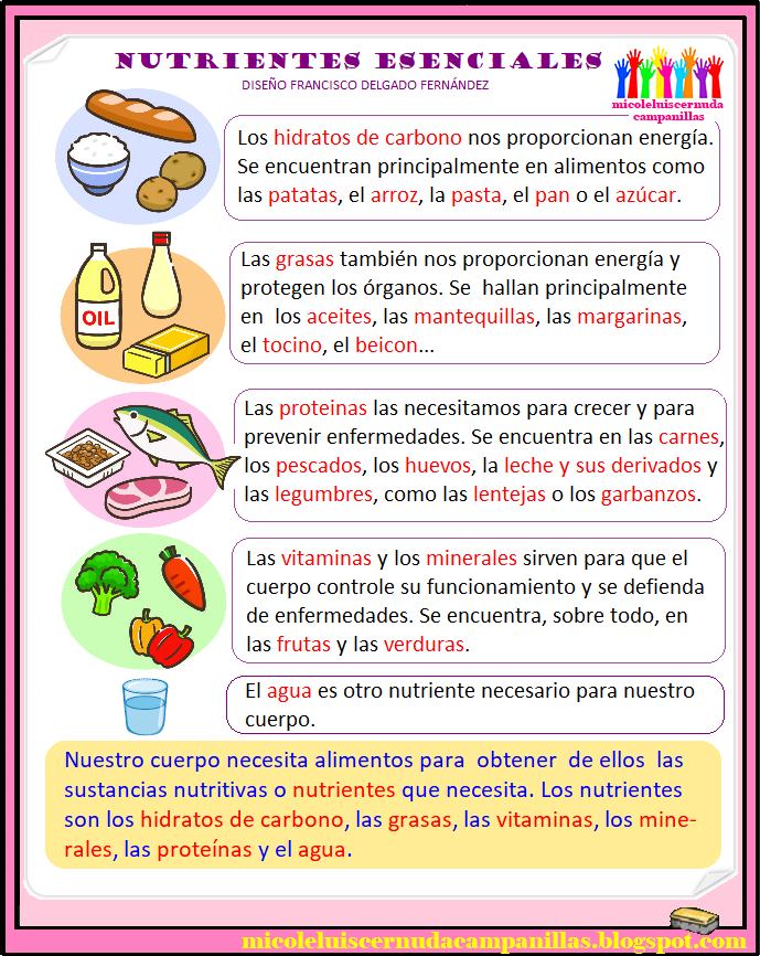 Mi cole Luis Cernuda, Campanillas.: T.2 - 3º "LA ALIMENTACIÓN. NUTRIENTES"