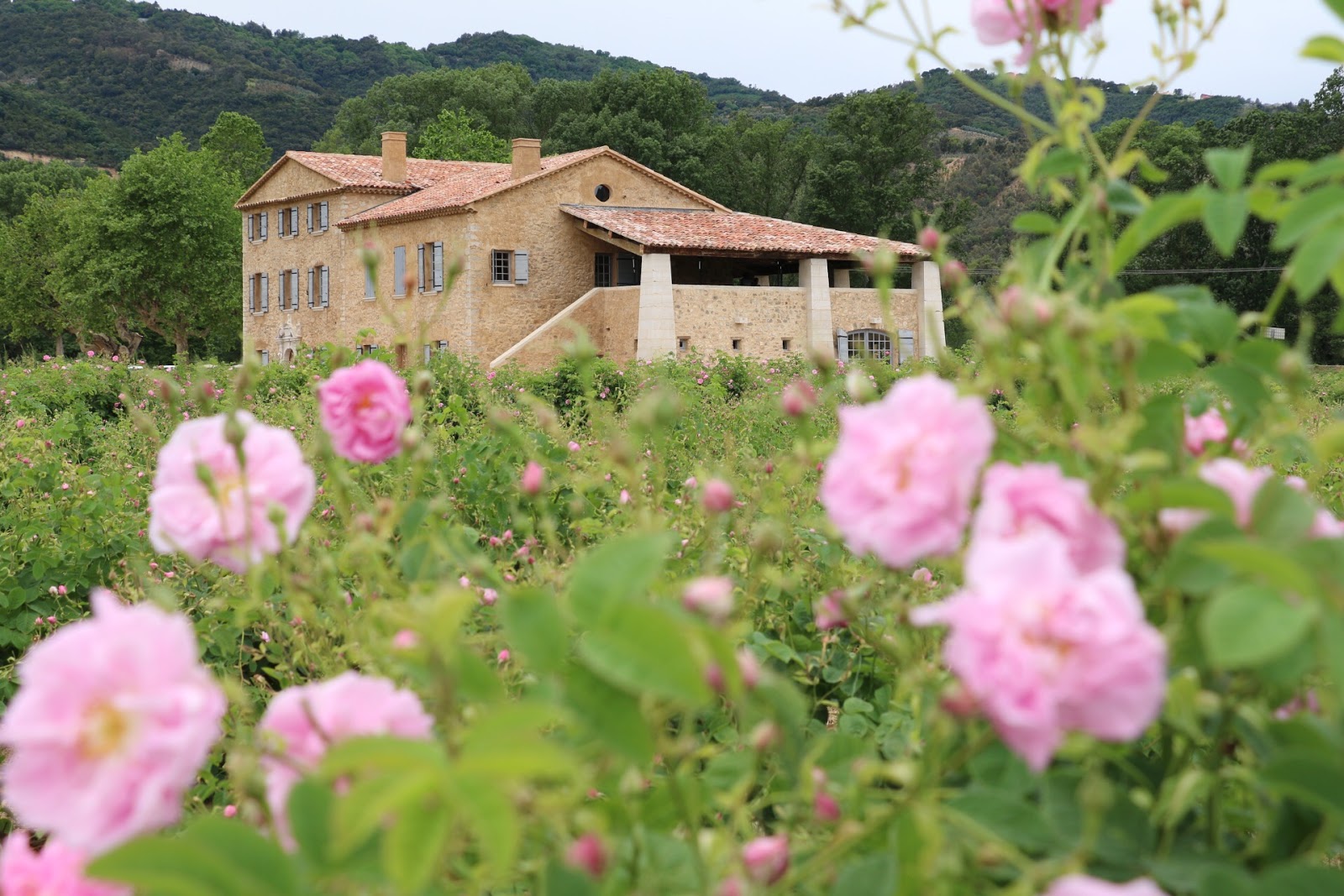 Stereotypemess: CHANEL GRASSE (FULL STORY)