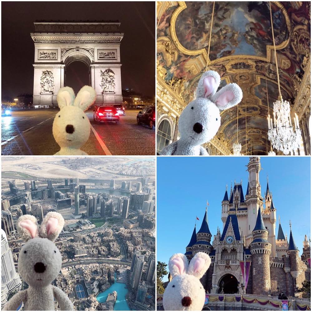 The top 18 travel mascots to follow - The Sharonicles