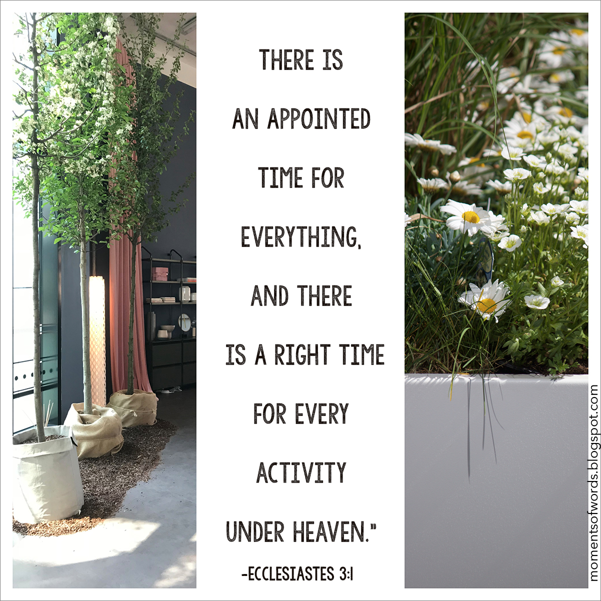 Trust God's timing! | Moments of words