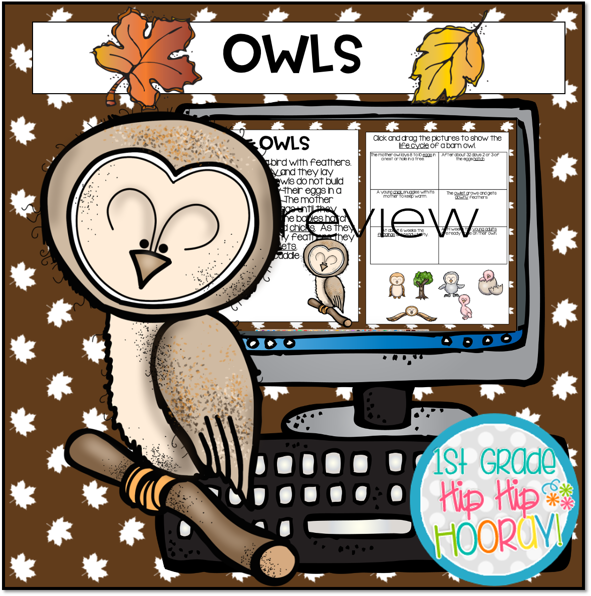 1st Grade Hip Hip Hooray!: Using informational text to research owls!