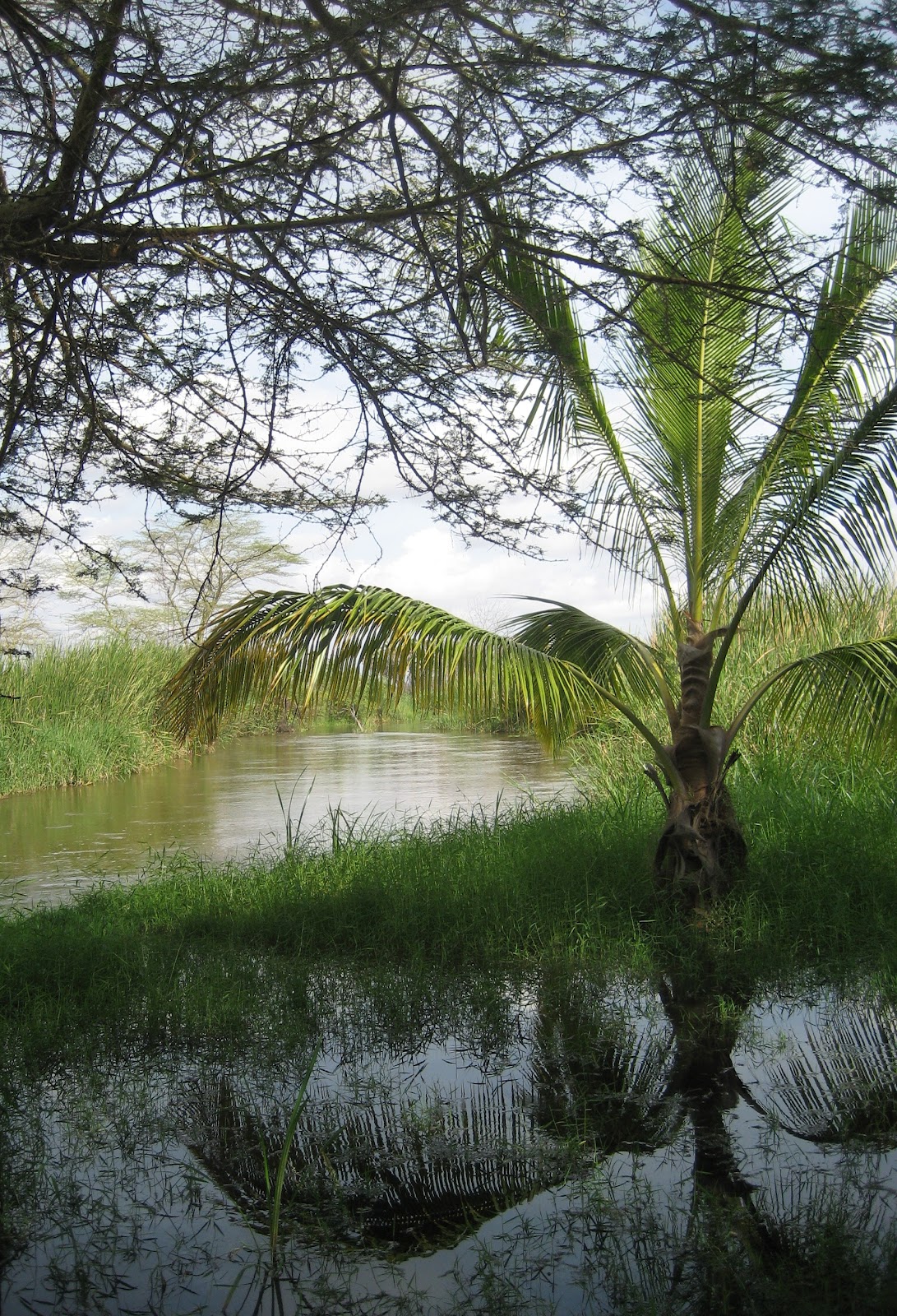 Battlefield News: The Advance down the Pangani River Valley Tanzania