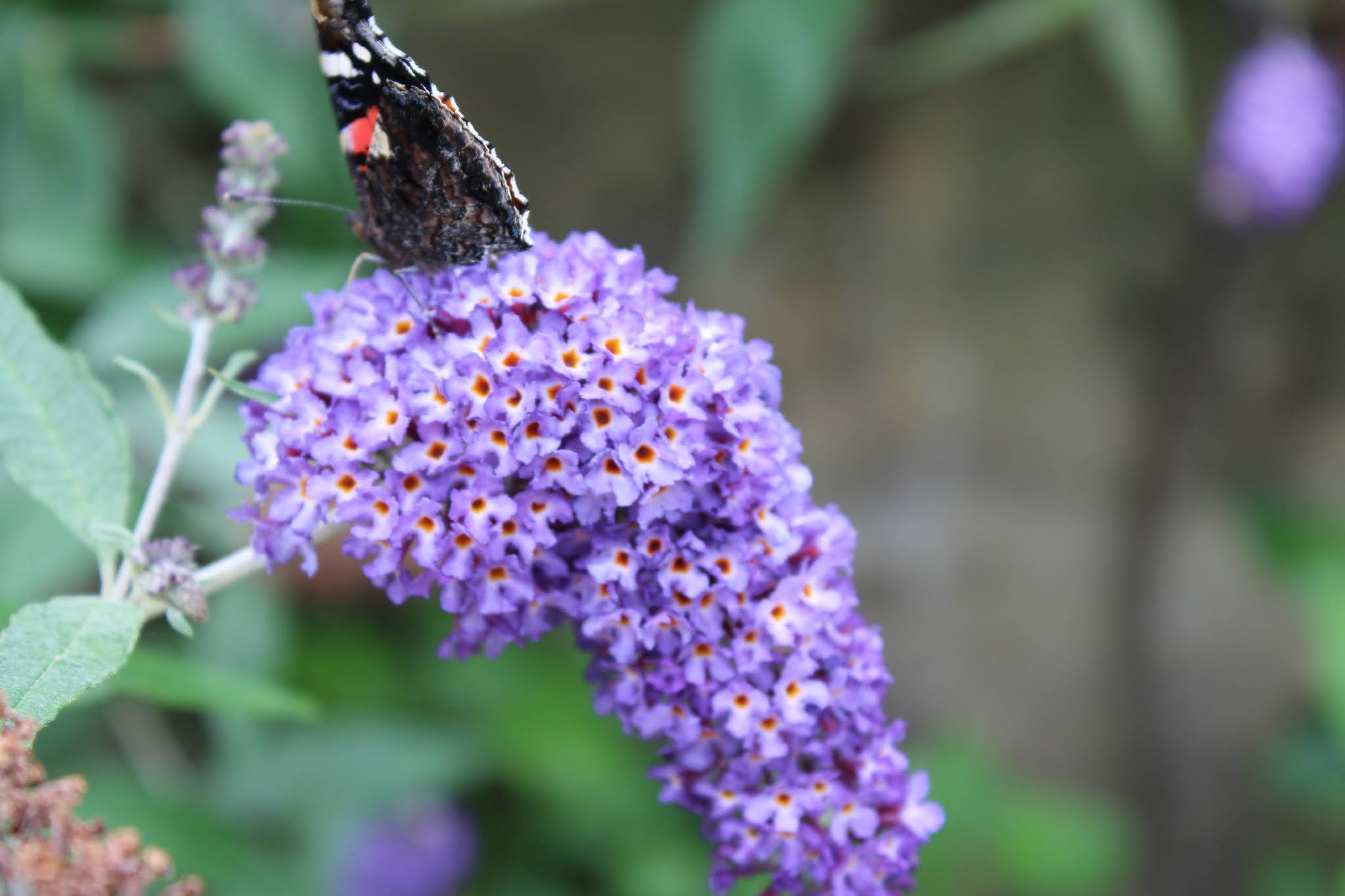 Another National Trust Treasure | Hardwick Hall