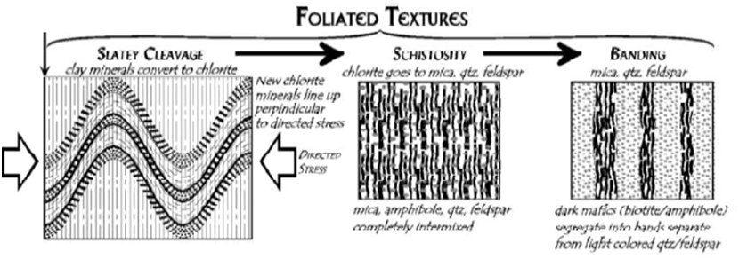 Gambar.1. Struktur Foliasi