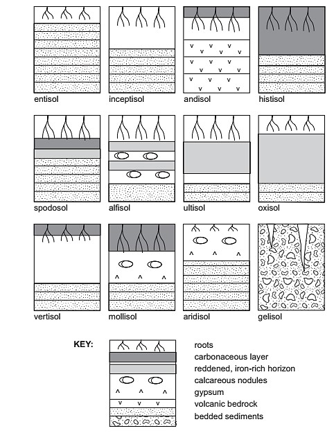 SOILS AND PALAEOSOLS