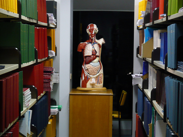 Letters to a Young Librarian: So, You Want to Be a Hospital Librarian ...