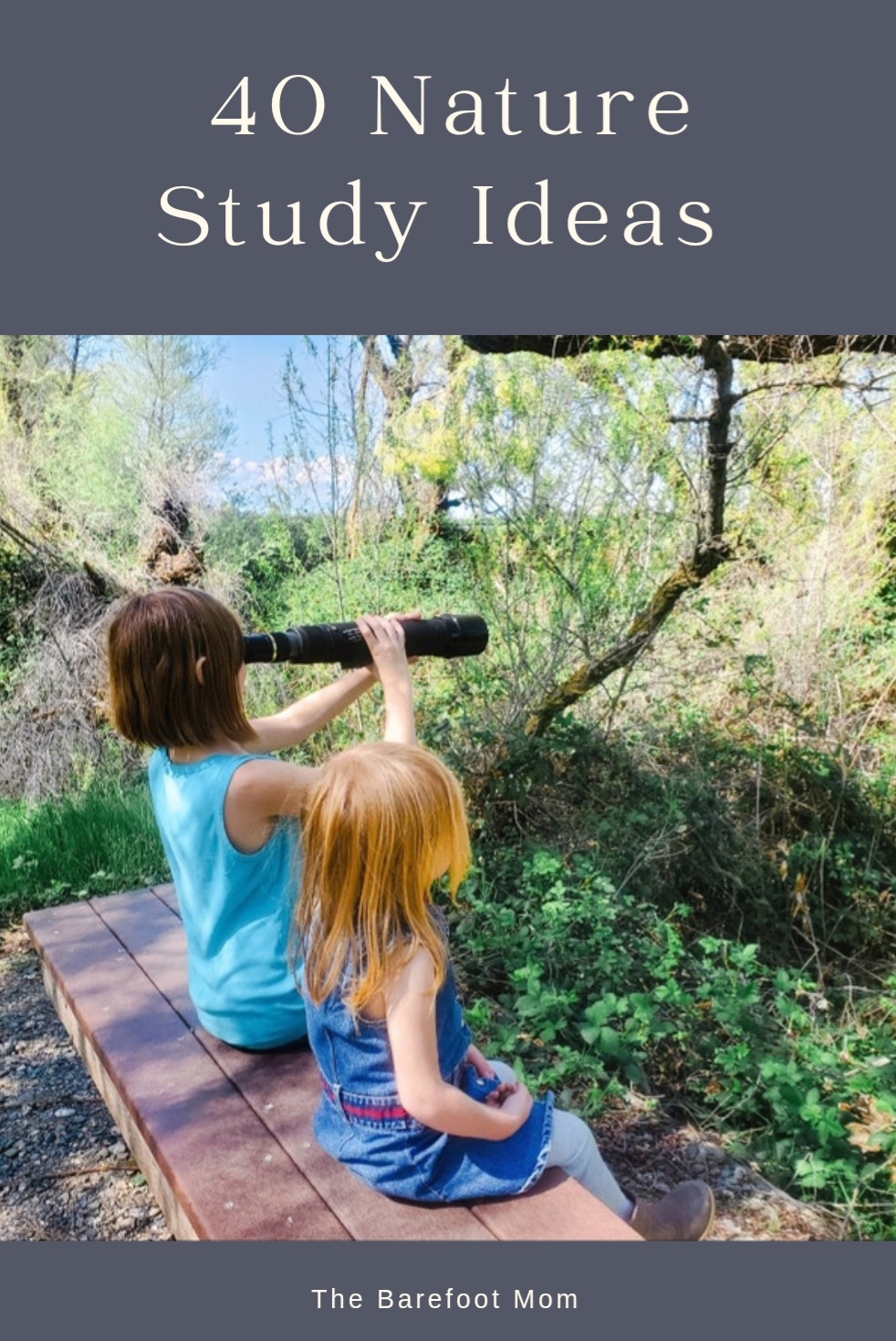 42 Nature Study Ideas