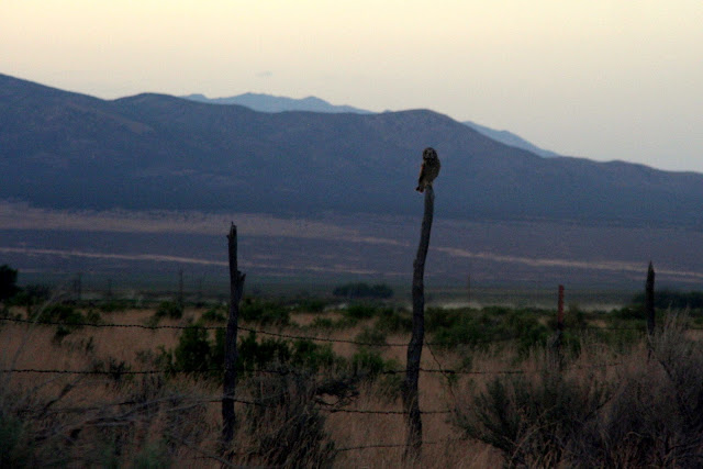 Yates Family: Family Outings: Blessing or Curse?
