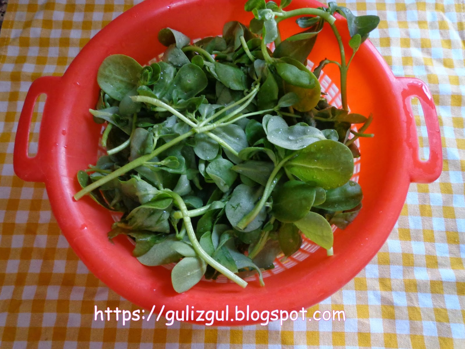 Semiz Salatası - Güliz'in Dünyası..🤍💚