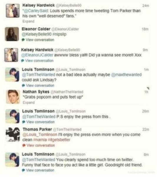 Directioner Problems: The Struggles: Twitter Fights: The Wanted