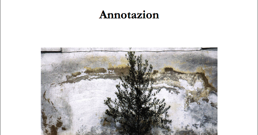 Annotazion. Il nuovo libro di Davide Morelli - Le stanze di carta