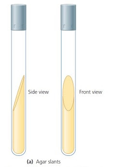 Merlins Micro World: Preparation of Agar Slant and Agar Deep culture tubes