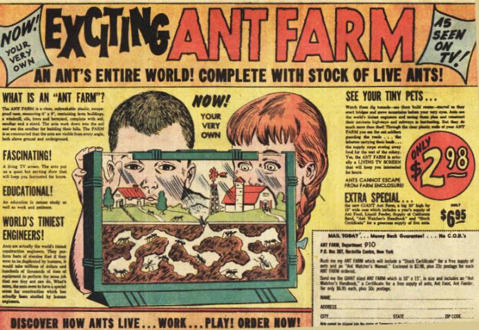 Lost in the Bozone: The Ant Farm