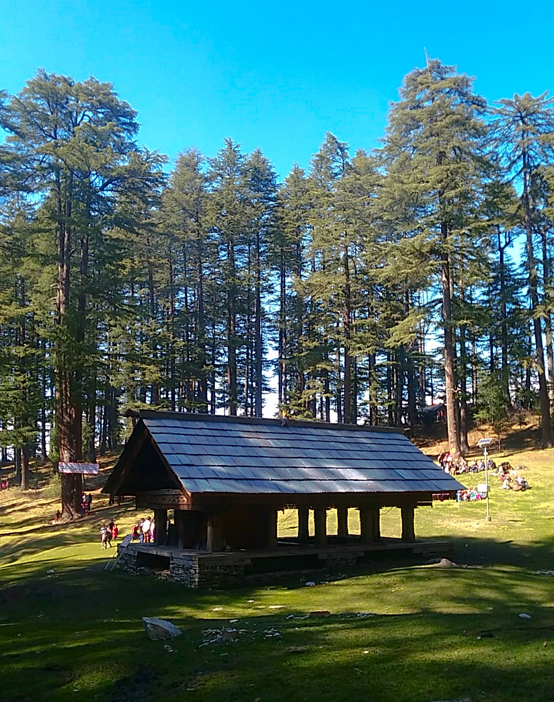 Complete Travel Guide for Jibhi- the offbeat gem of Himachal Pradesh ...