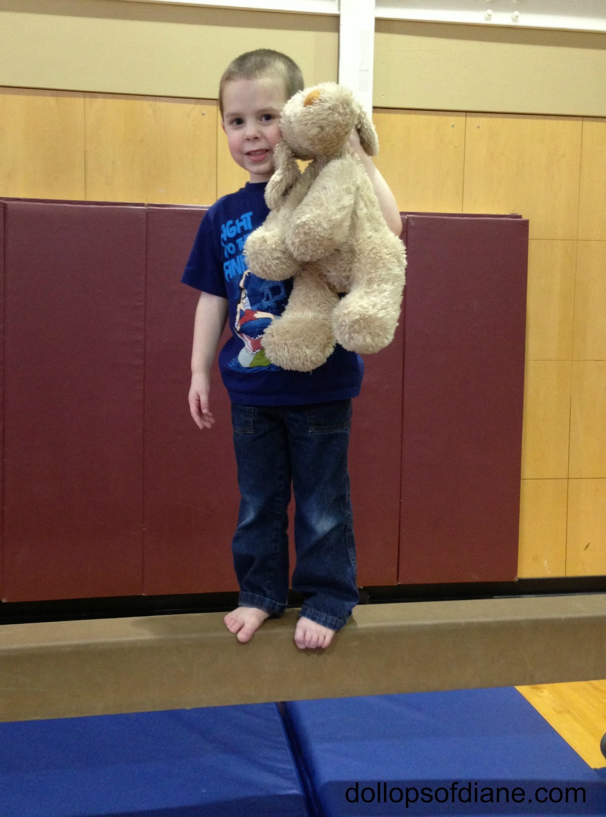 Dollops of Diane: A Week With the Preschool Puppy