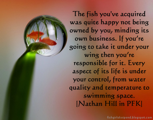 Fish Girl Writes: Good fishkeeping habits