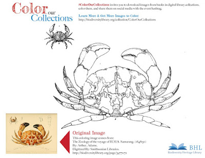 NeuroDojo: Tuesday Crustie: Colour your own crustacean!