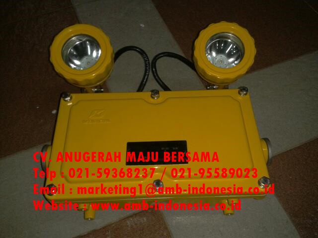 Anti Ledak: Jual Lampu Emergency Mata Kucing Explosion Proof Warom ...