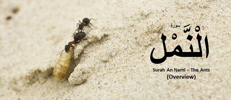 July 11, 2019 Jalal HB No comments