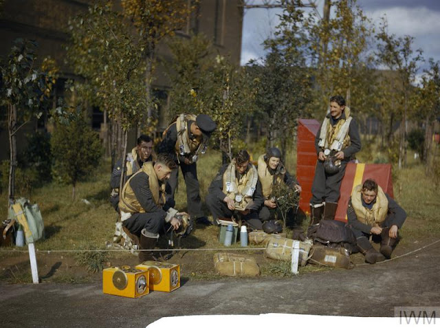 World War 2 History and the WW2 Pigeons: World War II Pigeons, Imperial ...