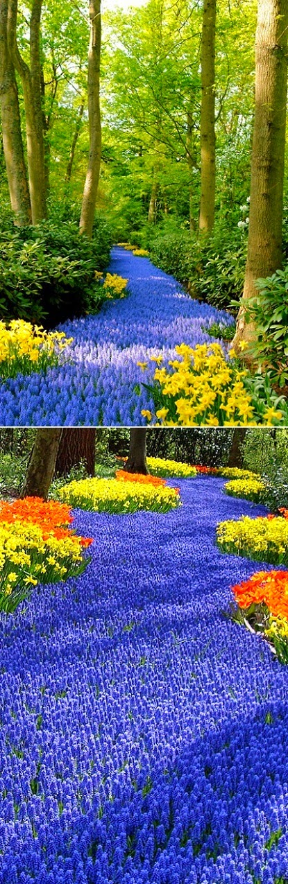 mostbeautifulbackyards: Holland's Flower Garden - Thank you pinterest ...