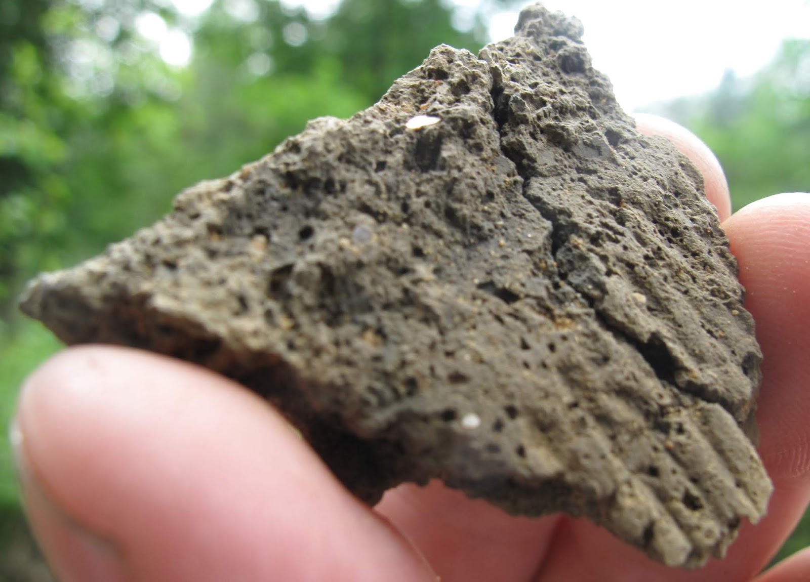 Jan Fast Archaeology : More corded ware culture and early comb ceramic ...