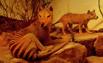 Phantoms and Monsters - Real Eyewitness Cryptid Encounter Reports