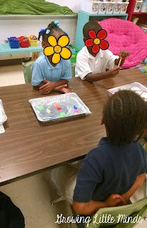 Growing Little Minds: Categorizing and Sorting in Kindergarten