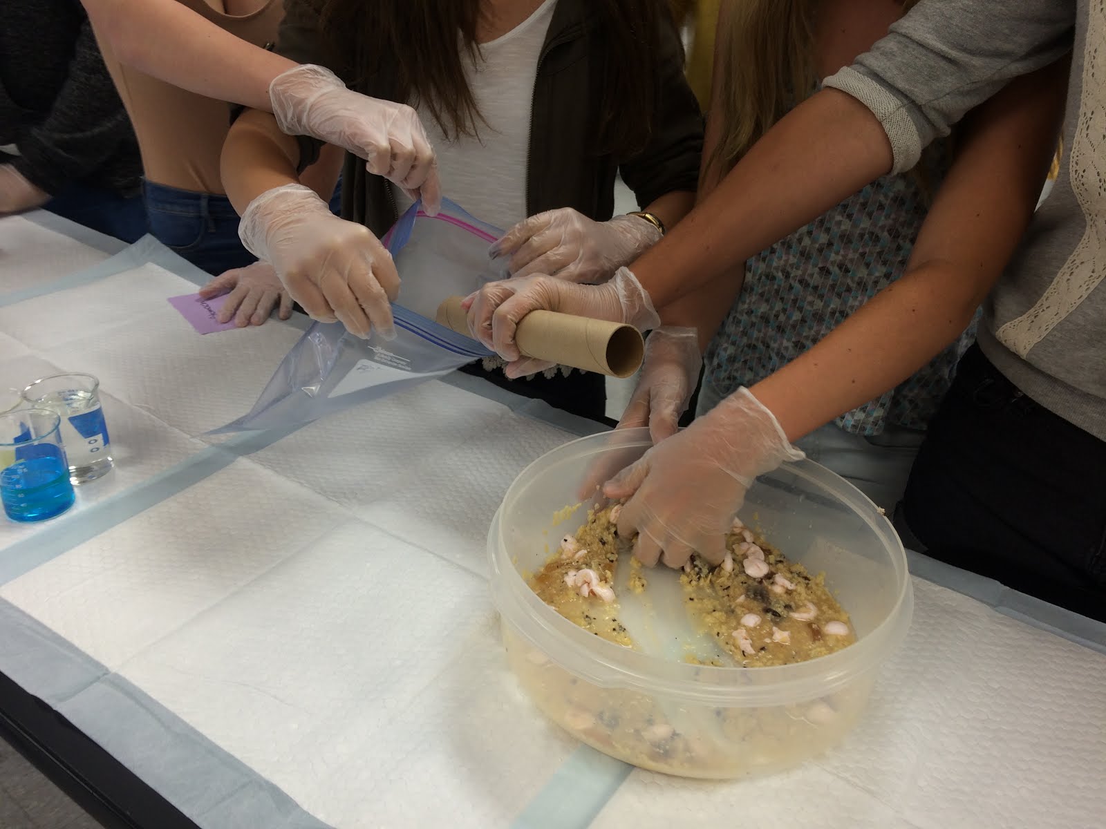 Trent Crean 2016-2017 Digital Notebook: Making Poop: A Look at the ...