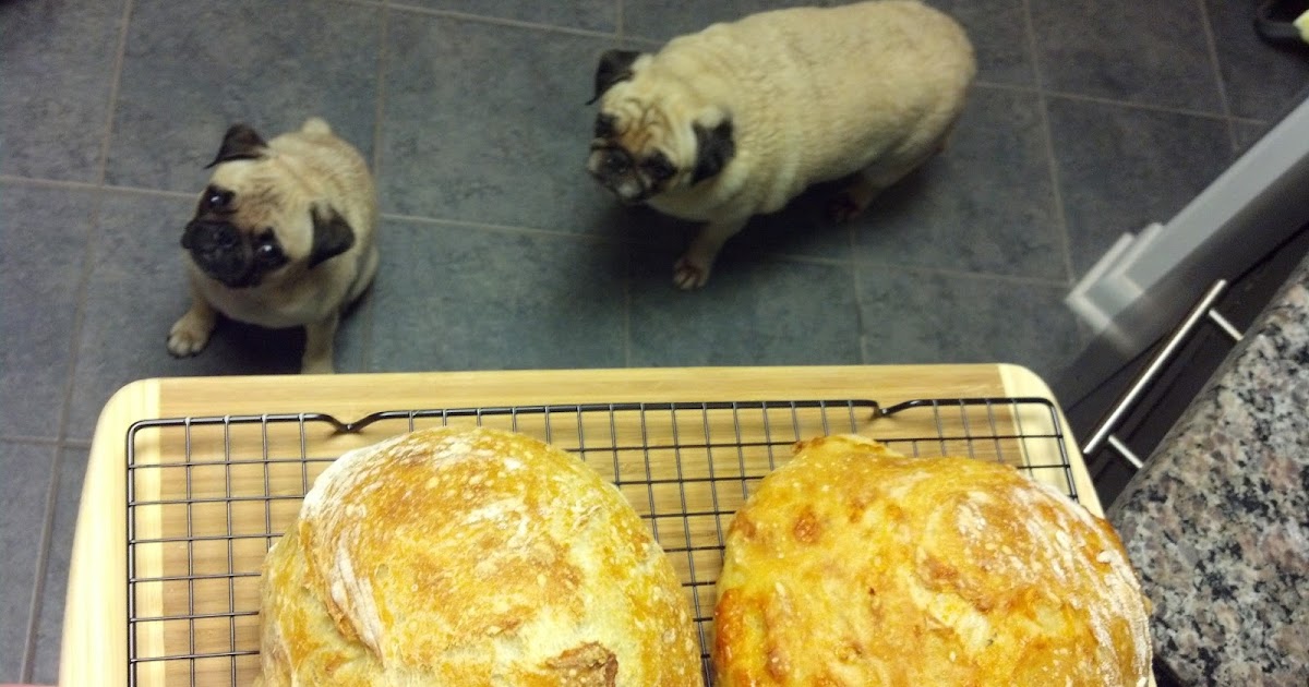 Grubbin' Pugs: No Knead Bread - So Easy, So Tasty!