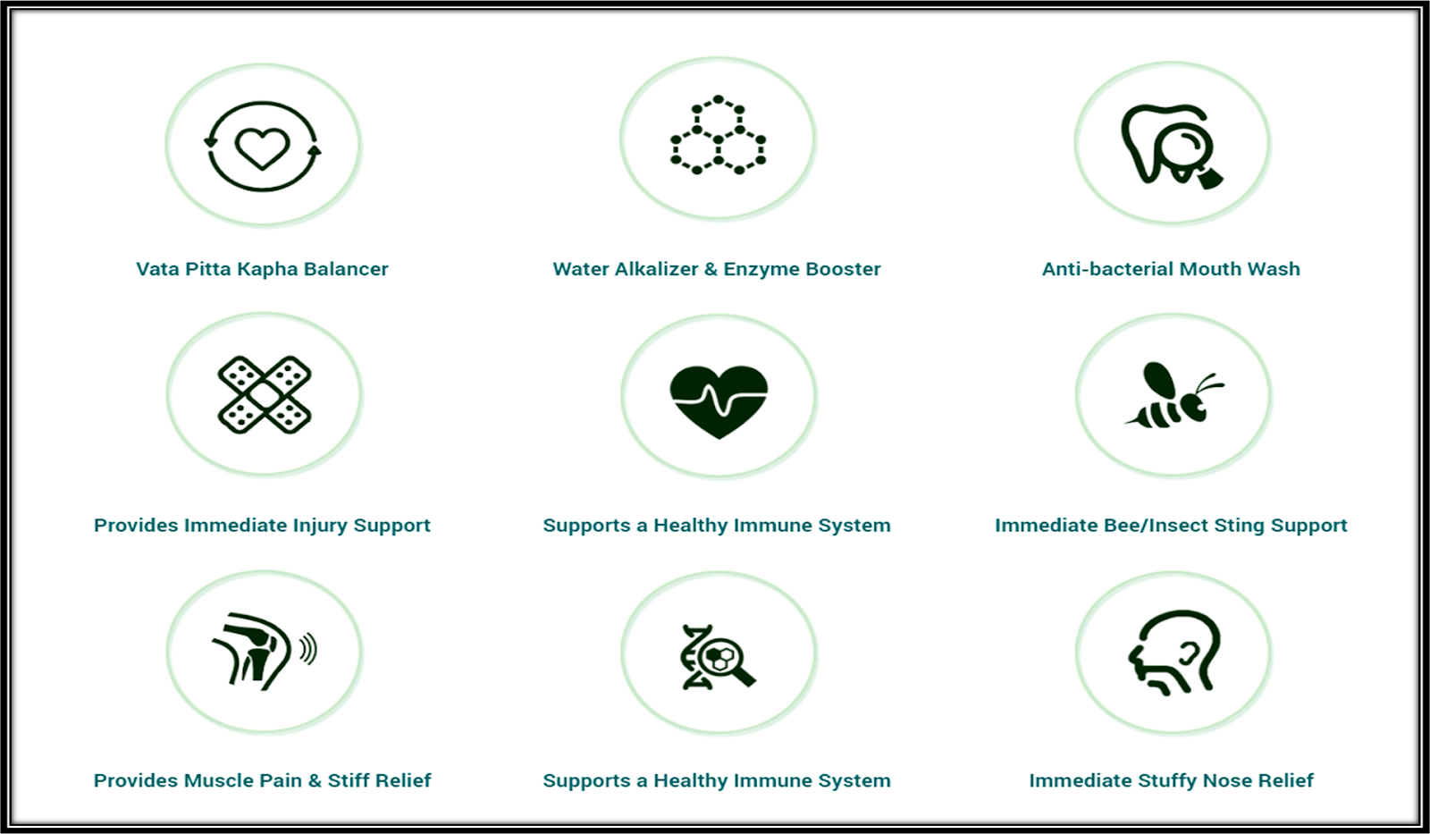 Live Life Long: Immunity