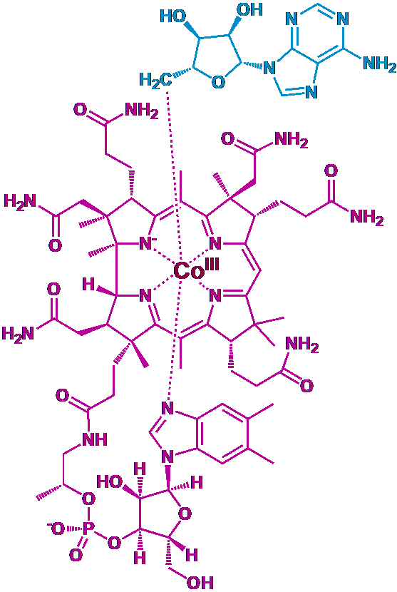 Lines of study ~ Elías-Arnanz Group