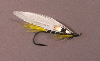Fly Fishing with Doug Stewart: The Highly Acclaimed Black Ghost ...