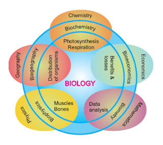 Advanced Biology Topics | Learning For Best Knowledge