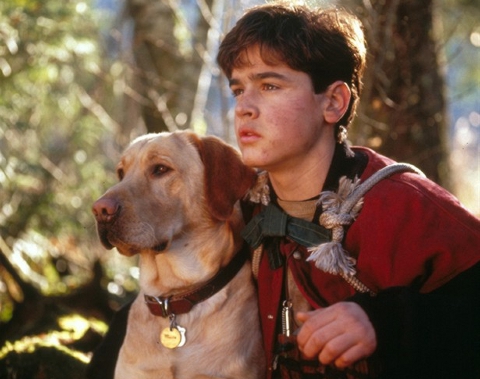 CANON MOVIES: PHILLIP BORSOS: TOP FILMS