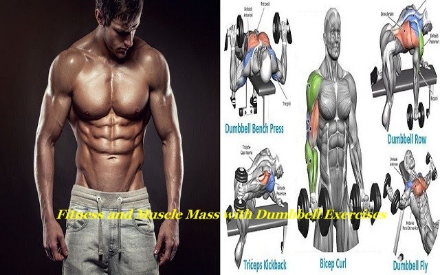 Fitness and Muscle Mass with Dumbbell Exercises