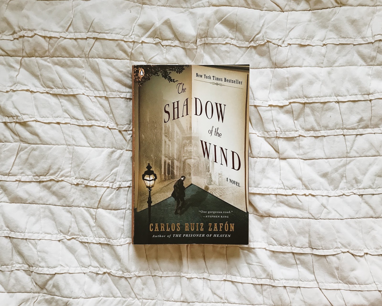 Book Review | The Shadow of the Wind by Carlos Ruiz Zafón | Literary ...