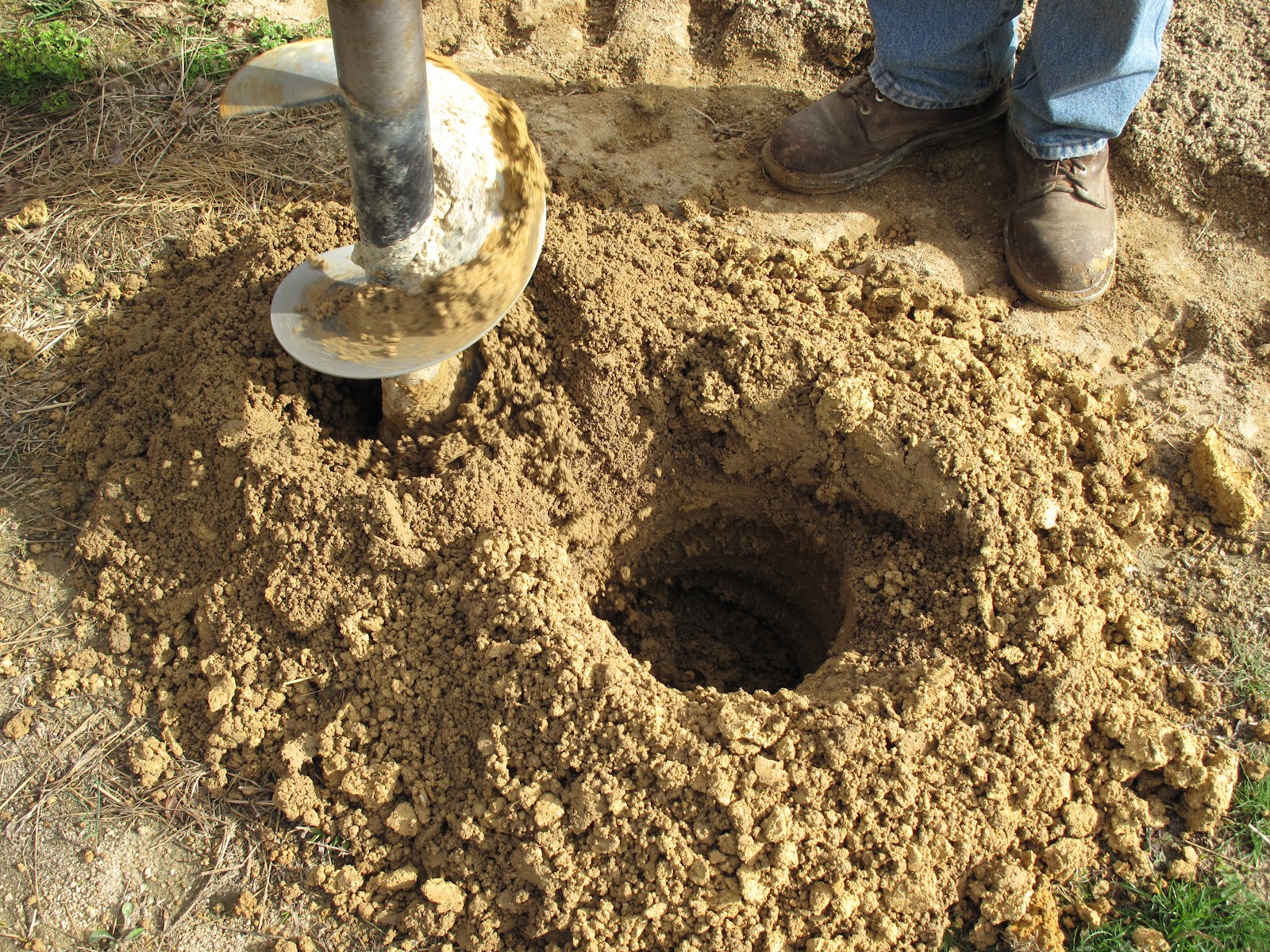 Wings of Dawn Farm: Planting Fruit Trees