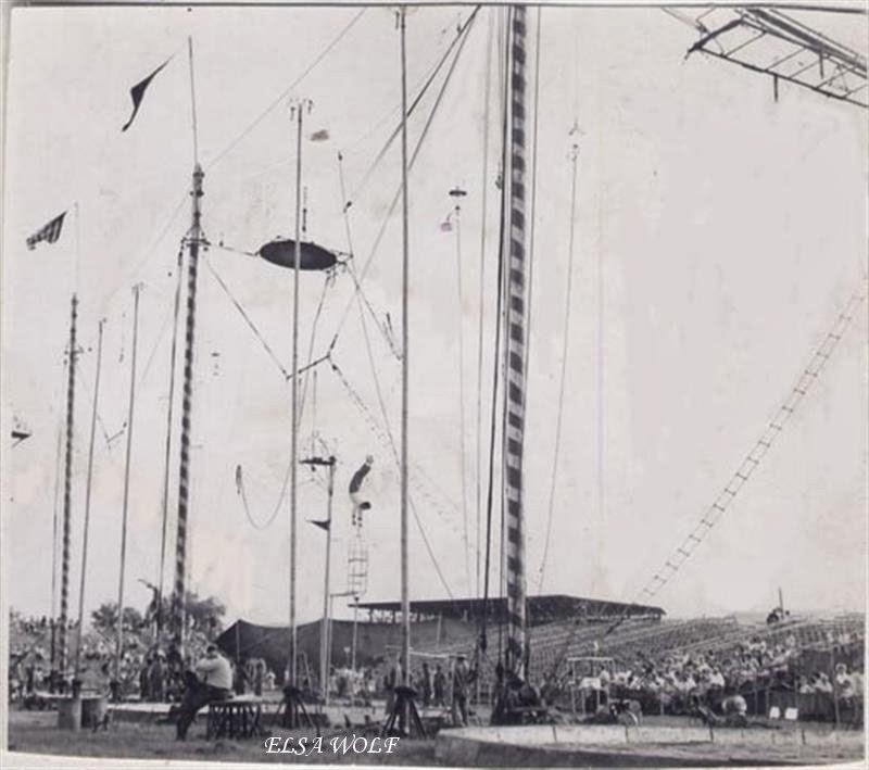 Circo o maior espetáculo da minha vida: ... E ASSIM SURGIU O CIRCO ...