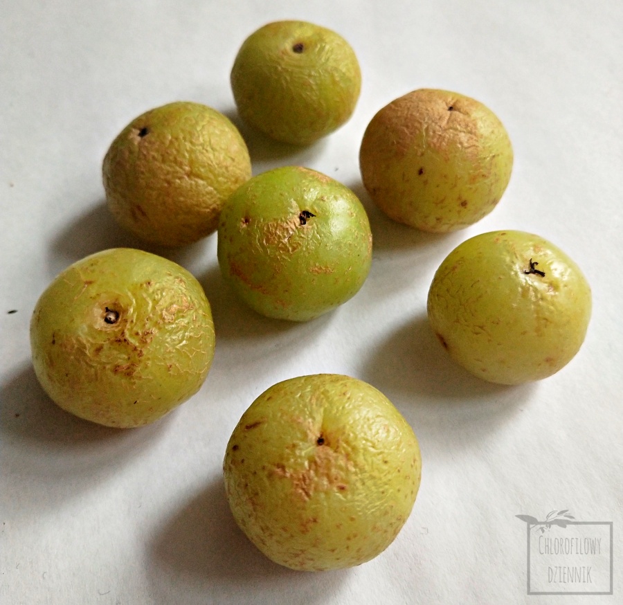 Indyjski agrest - owoce amla