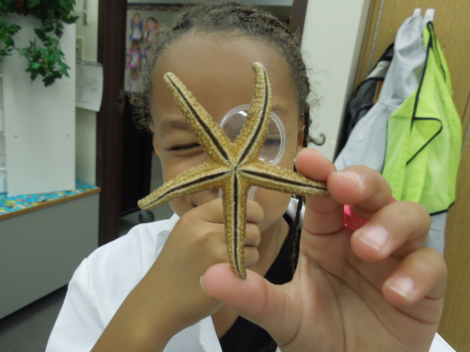 Connected Combo: Shell Science