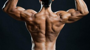 Latihan Membentuk Otot Punggung Terbaik | Mulia Fitness