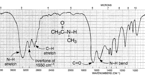 Chemistry: Amide infrared spectra