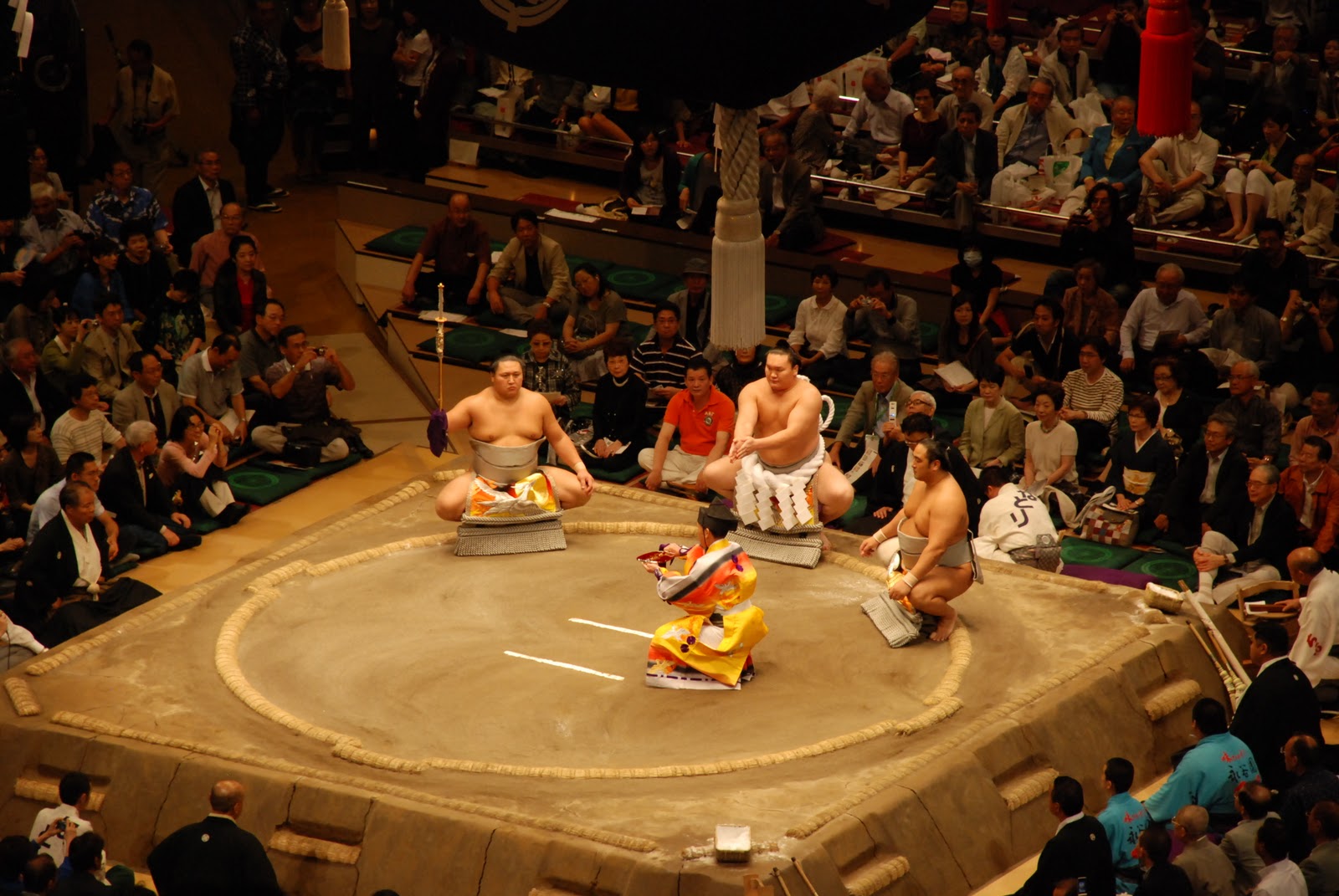 The New Normal: Sumo