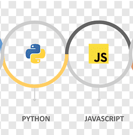 What are Statically and Dynamically Typed Languages