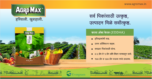 फास्ट अॅक्ट फेरस (EDDHA)