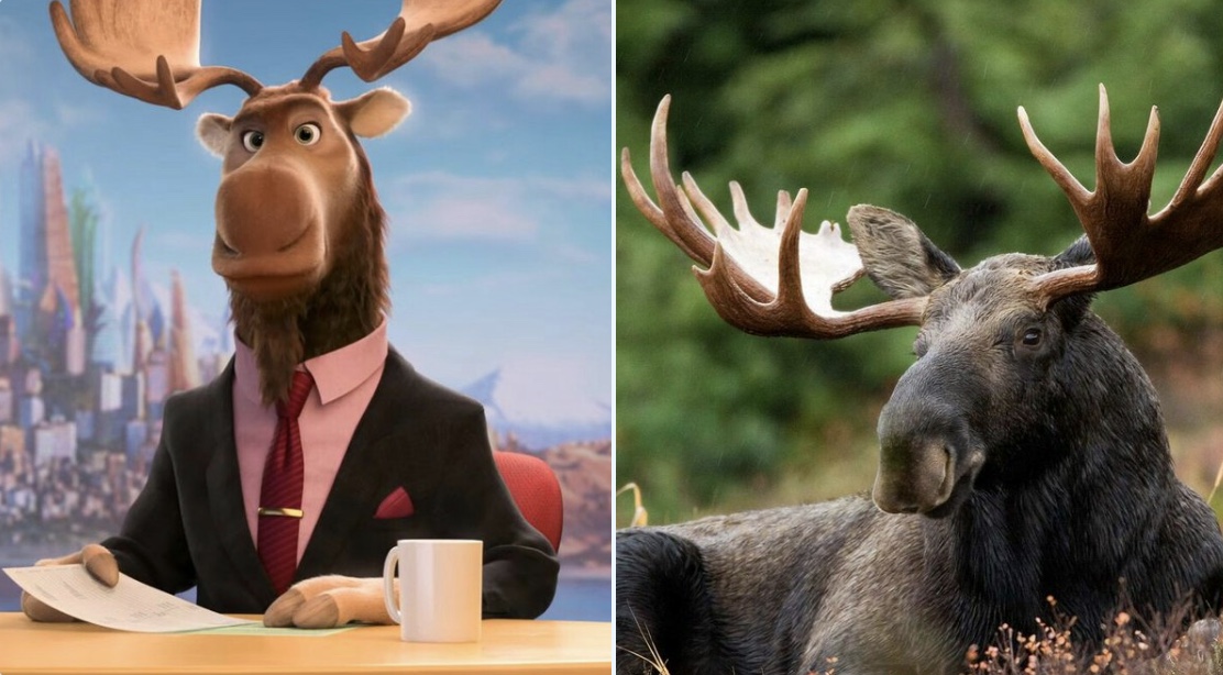 23 Jenis Spesies Haiwan Yang Ditonjolkan Sebagai Watak Filem Zootopia