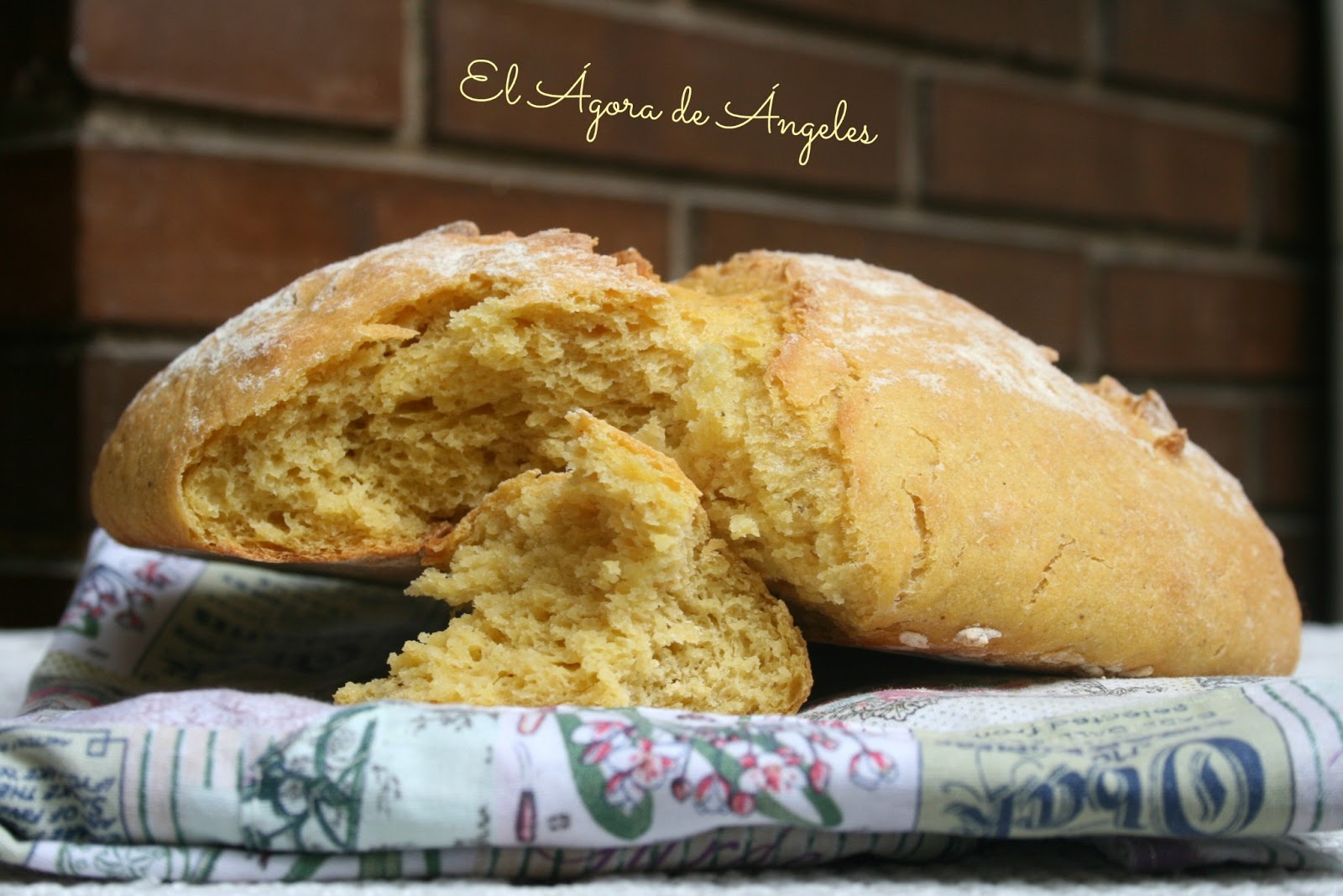 PAN DE MAÍZ | El Ágora de Ángeles