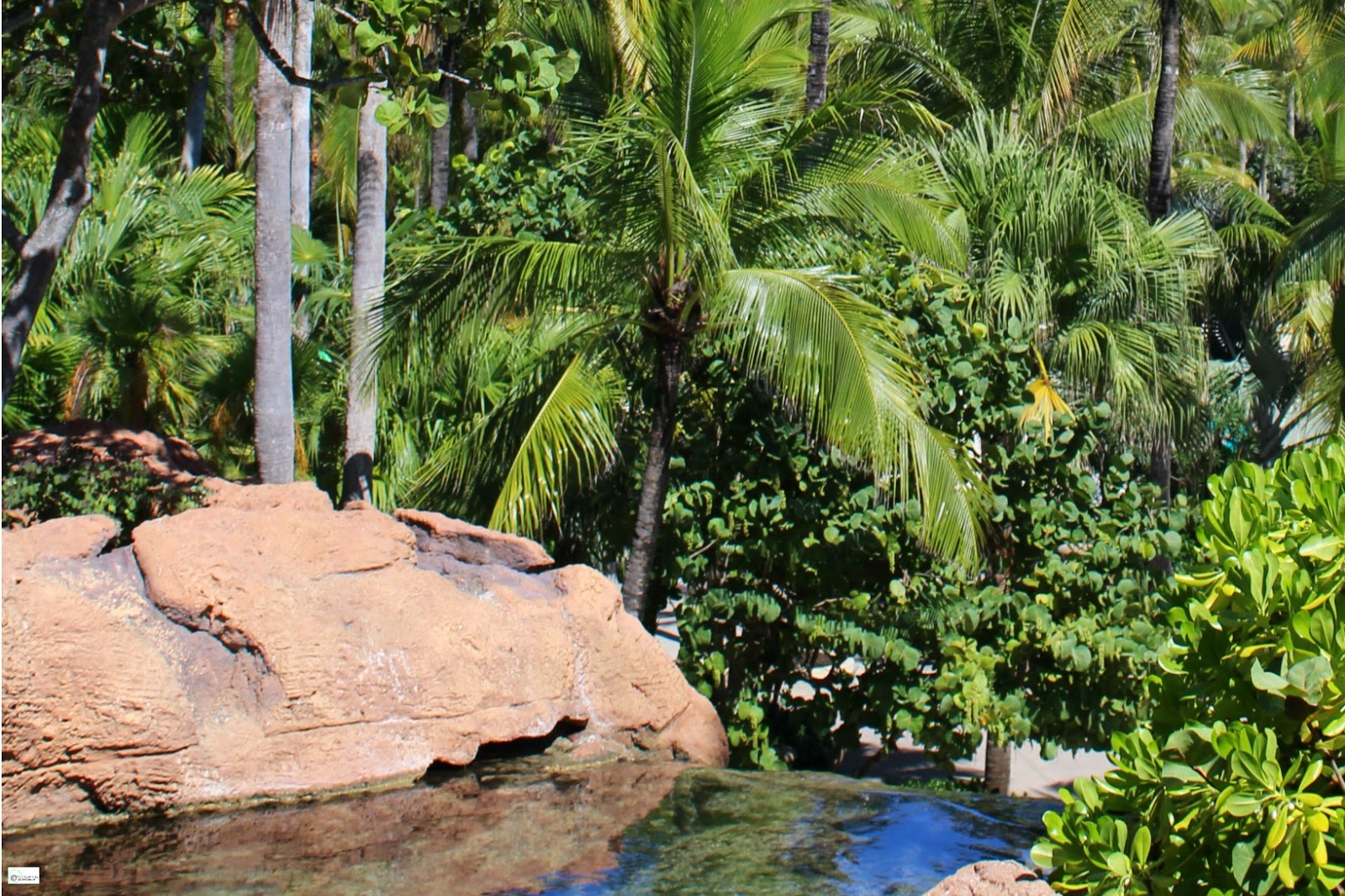 Atlantis and Aquaventure Port Excursion | Caravan Sonnet